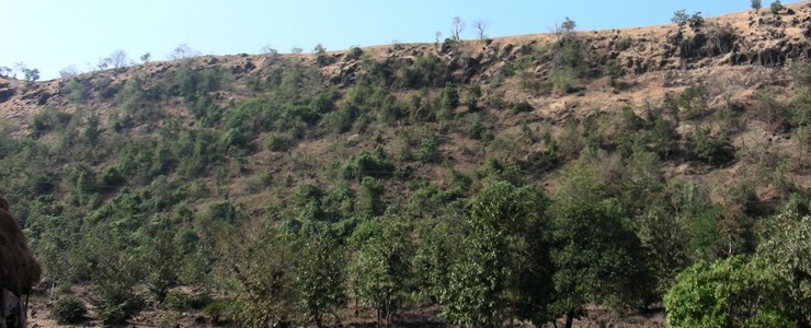 Barvai Fort