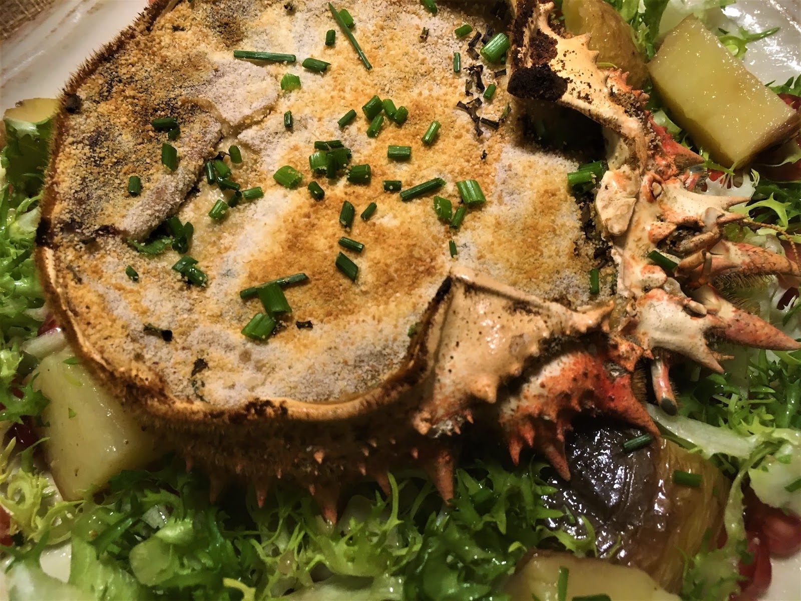 El gastrónomo: Centollo gratinado con bechamel