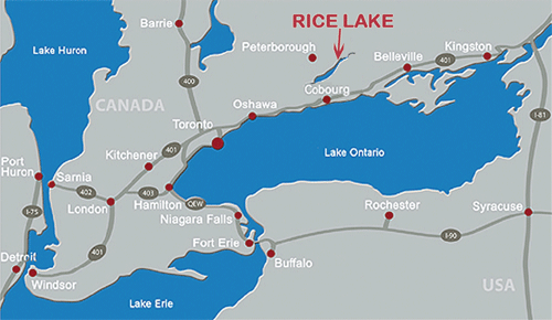 Lollygag AFTER The Loop: 7/10/11 - 7/17/11