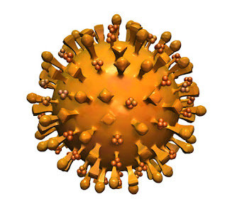 H5N1 (bird flu): 'A' virus subtype