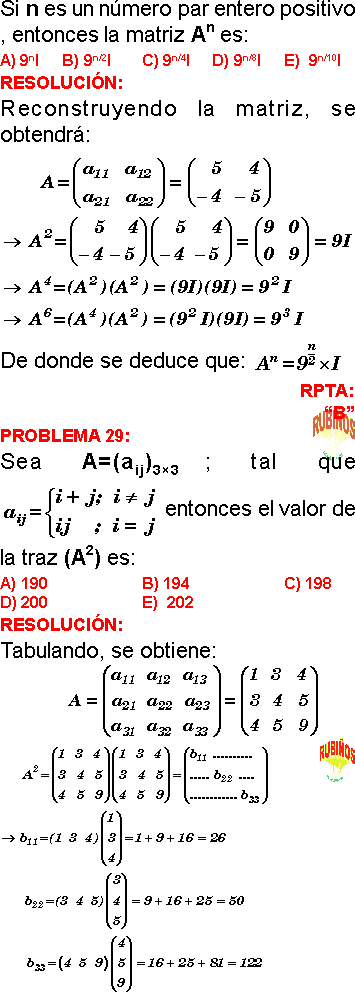 MATRICES EJERCICIOS RESUELTOS PDF