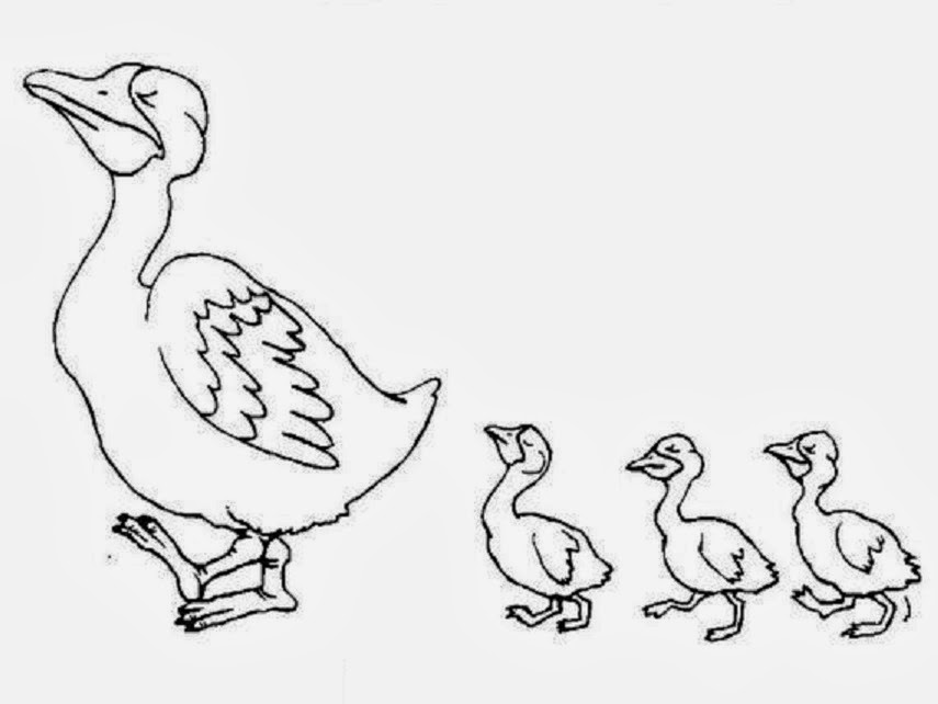 colours drawing wallpaper: Best Mom Duck Drawing Cartoon HD Wallpaper
