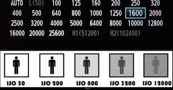 ISO กล้องคืออะไร ปรับอย่างไรให้เหมาะสม - 108 daily