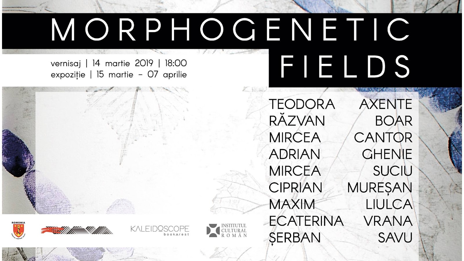 Imi pasa: Morphogenetic Fields