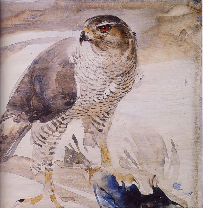 My other favorite raptor painting… – Stephen Bodio