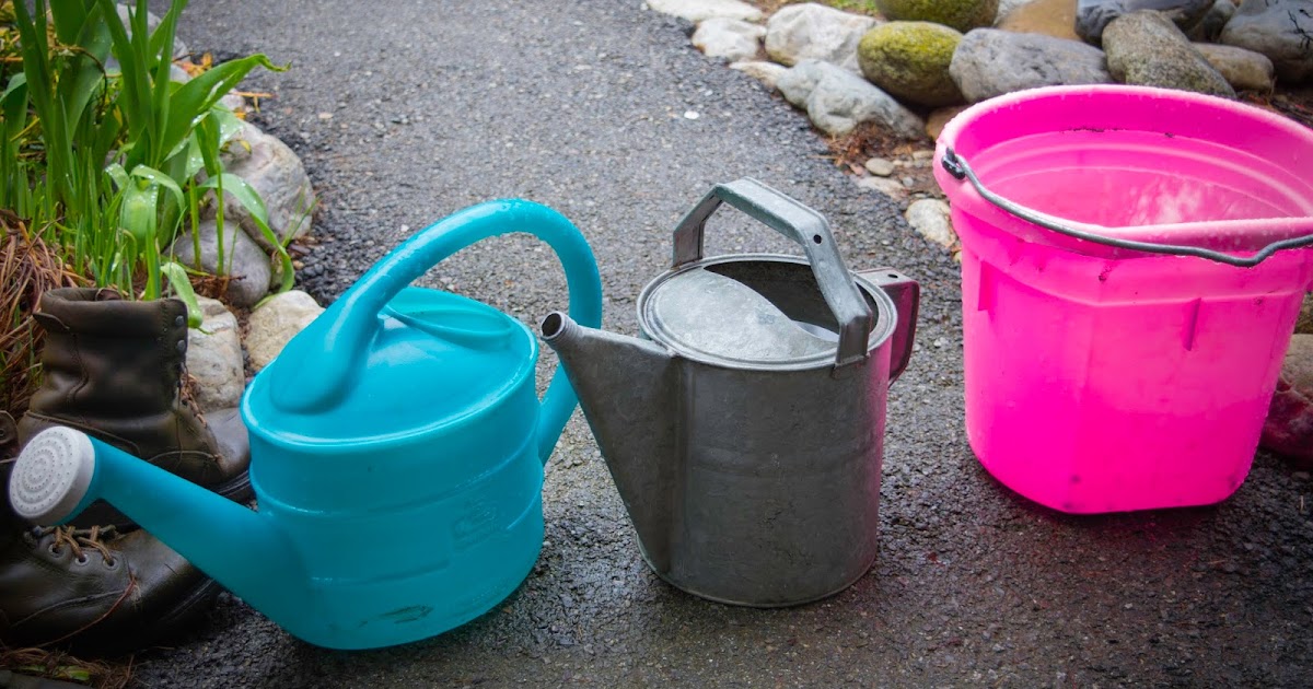 Jen & the Bean stalk: Buckets of rain