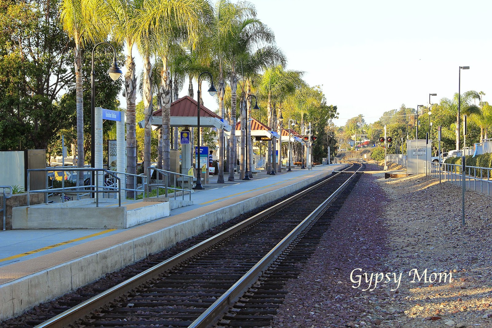 Here Comes the Train!