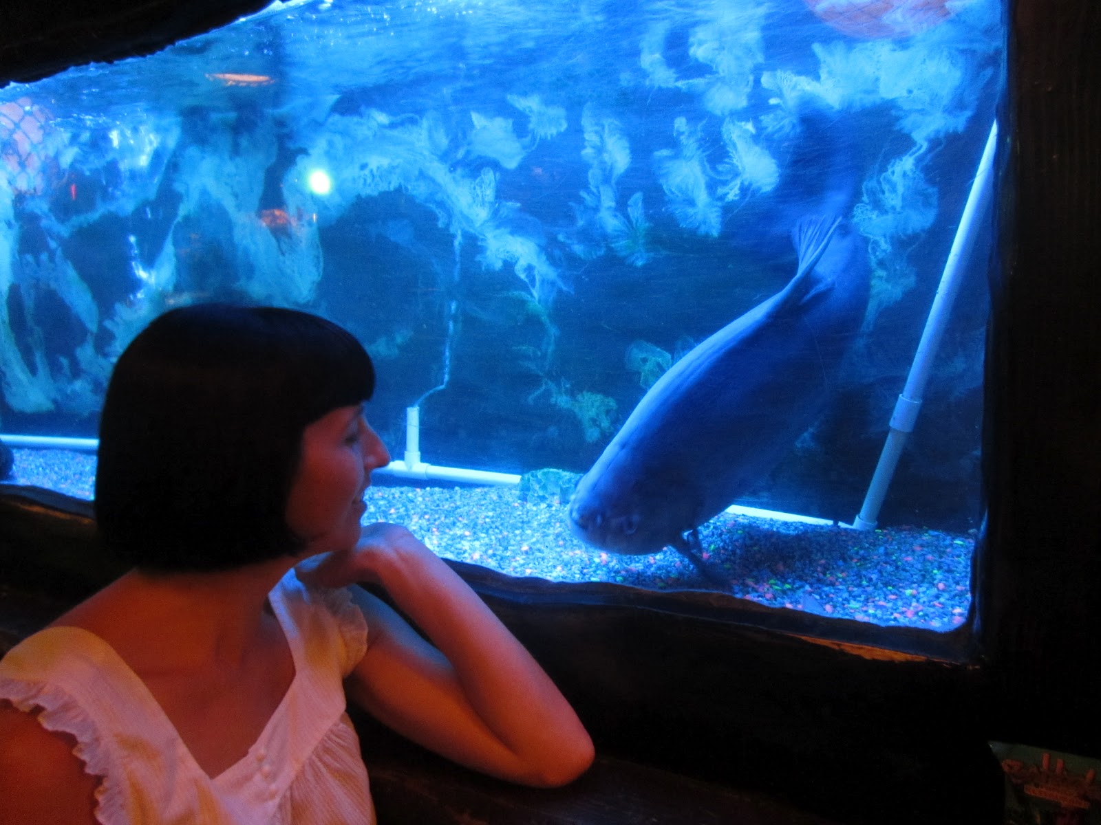 wacky tacky: Tiki Time: Bahooka