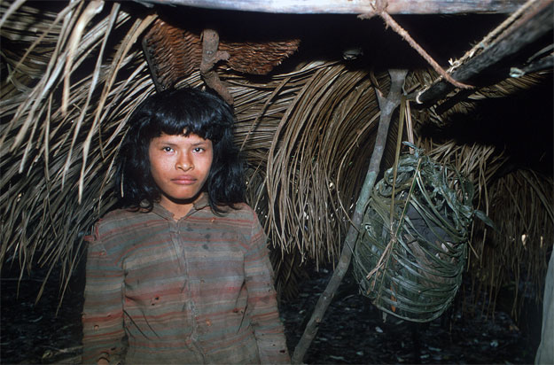 Crónica Subterránea: Mashco -Piro - Los Guardianes del Paititi - Débora ...