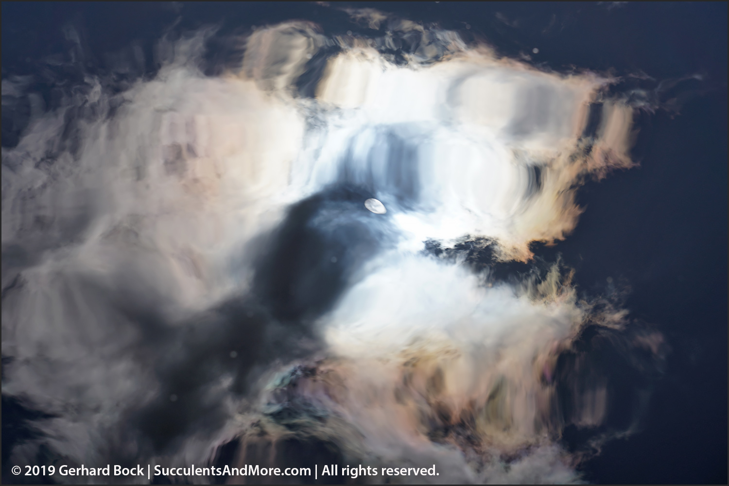 Late March, Victoria, British Columbia: it's spring, I guess?