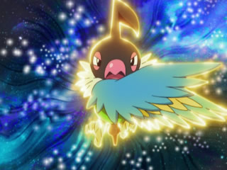 Poké-Arquivo: 441 - Chatot ~ PMD || Acervo de Imagens de Digimon e ...