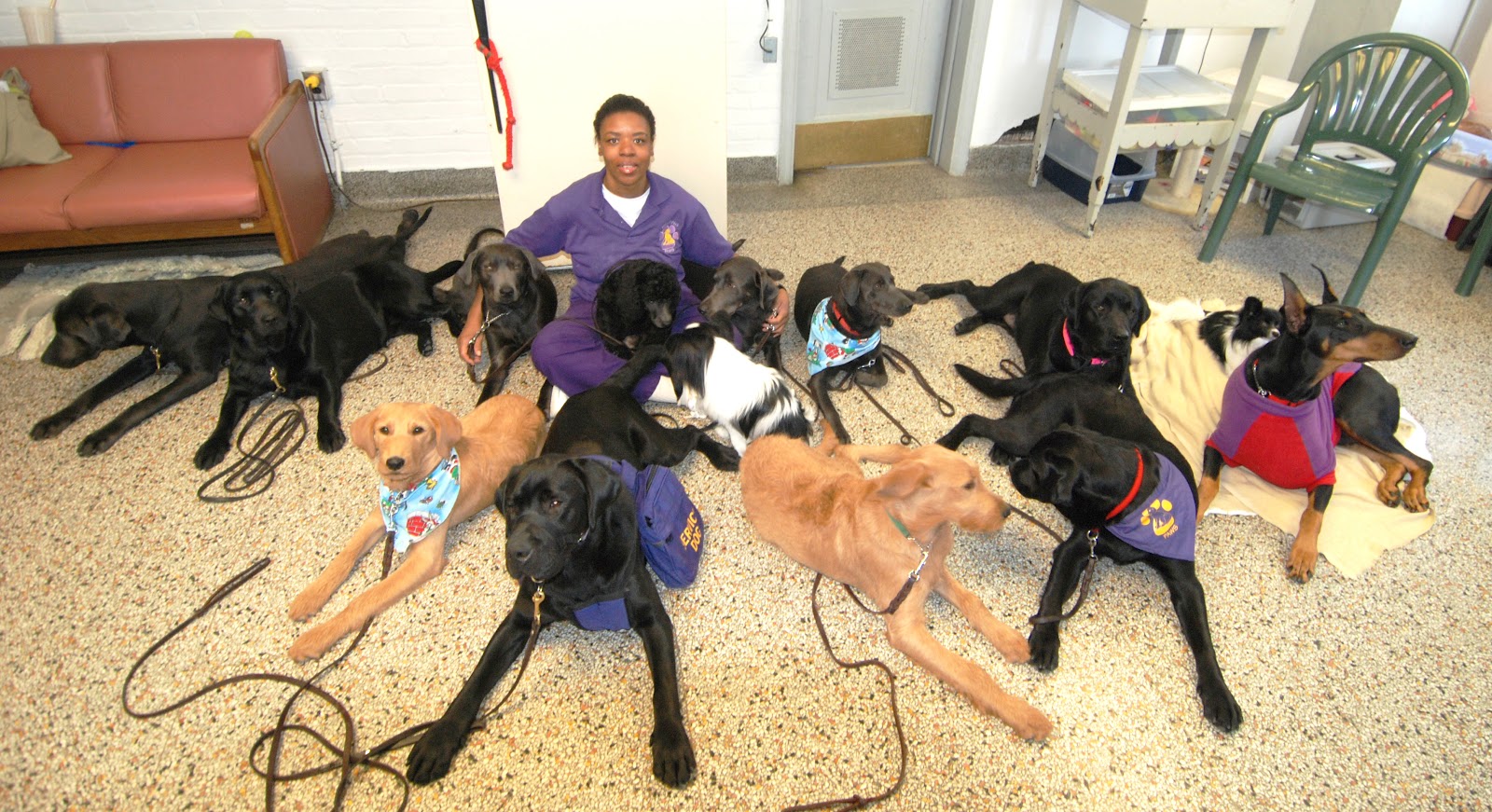PRISON DOG PROGRAMS ~ BRIDGES and PATHWAYS of COURAGE: A FEW PRISON DOG ...