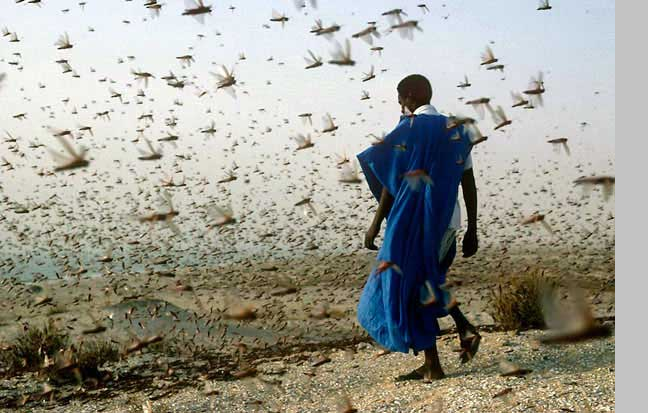 Blog Archives - bittorrentrace