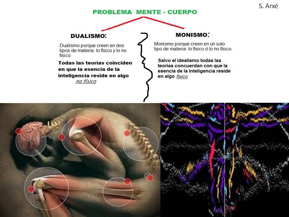 EL MEU ESPAI DE PSICOLOGIA: LA PSICOSOMÁTICA (PSM)