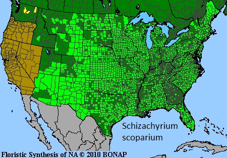 Restoring The Landscape With Native Plants: BONAP: Biota of North ...
