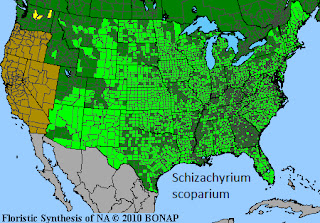 Restoring The Landscape With Native Plants: BONAP: Biota of North ...