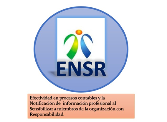 EMPRESA ASESORA ENSR S.A.S