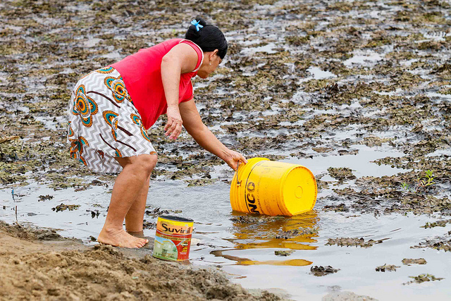 GERENCIAMENTO AMBIENTAL: Nordeste enfrenta a pior seca dos últimos 40 anos.
