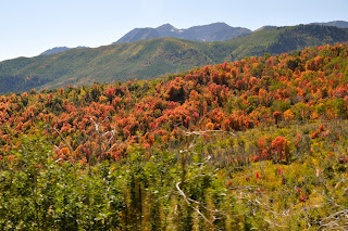 Hiking Utah: Alpine Loop and Cascade Springs Interpretive Trail