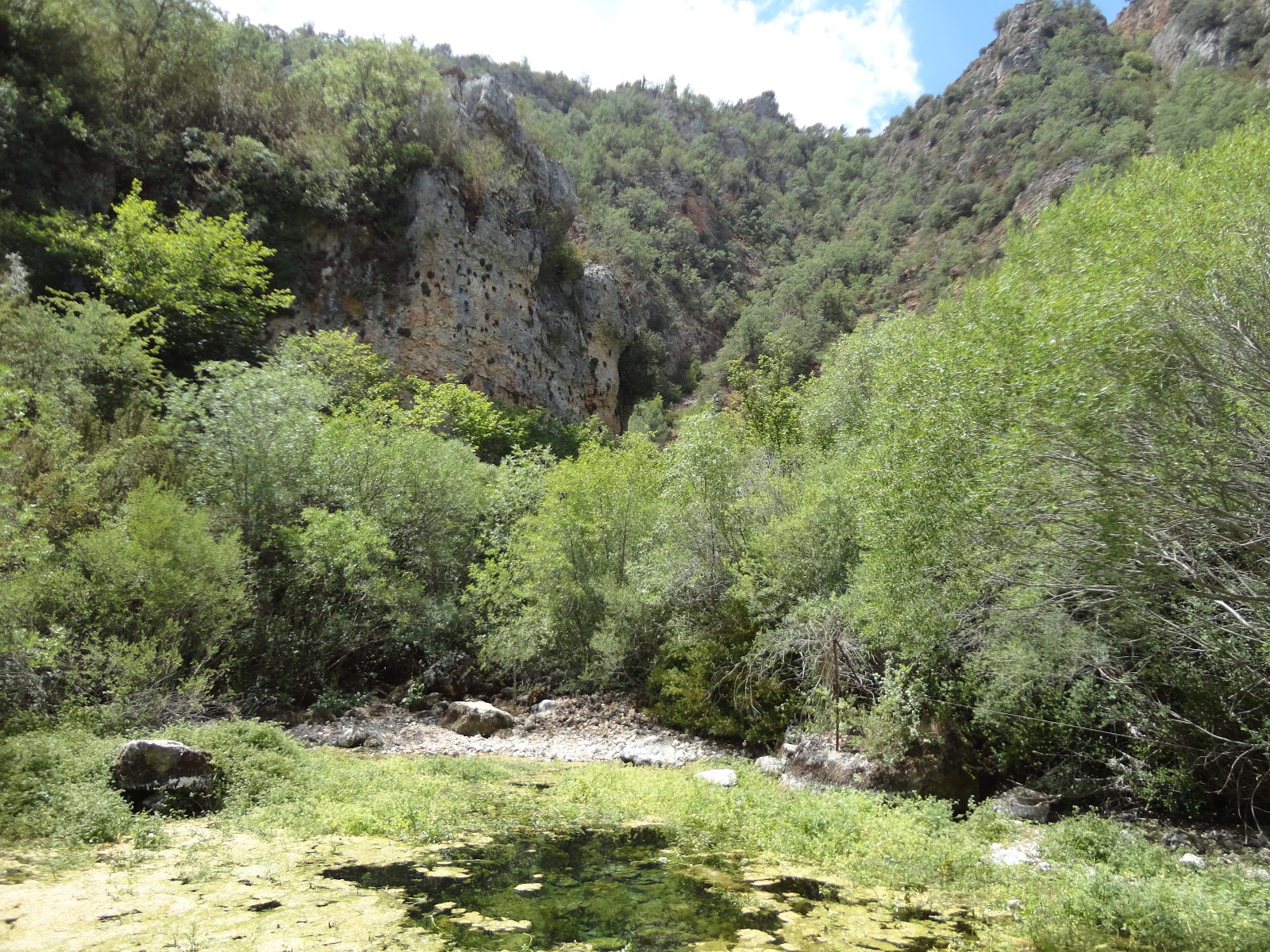 LA PRESA Y EL MANANTIAL DEL CAMPILLO (-AT-)