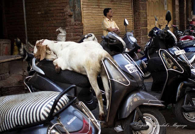 Mumbai Daily: July 2017