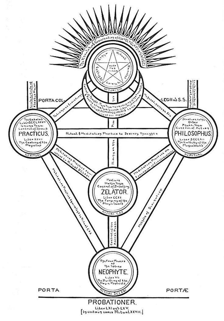 My Little Occult Shop: THE TREE OF LIFE IN THE TEMPLES OF THE OUTER ORDER