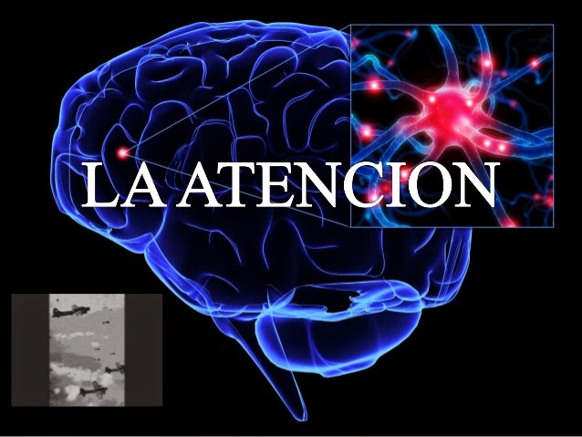 La Psicología Y sus Procesos Psicologicos: La Atención