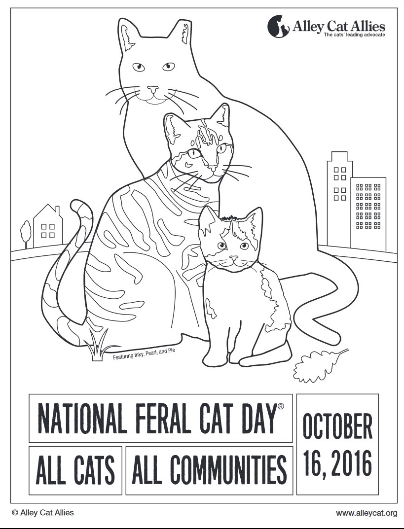 The Mane Point: Looking out for barn cats on National Feral Cat Day