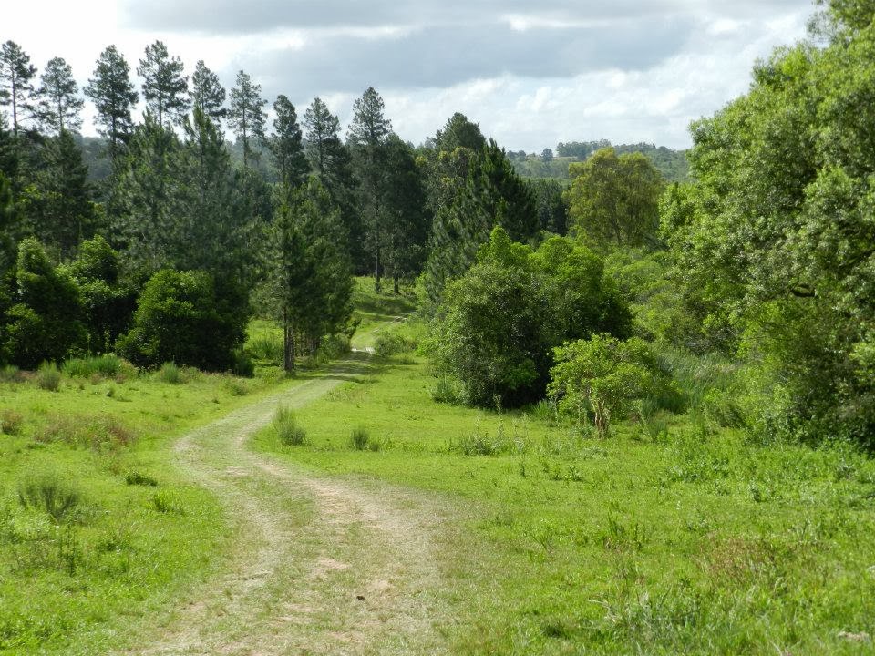 Sítio Panamar - Turismo Rural e Café Colonial - Pelotas,RS