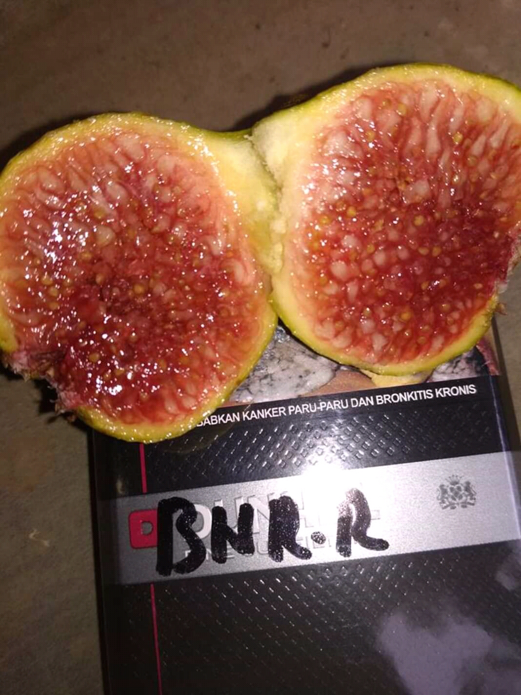 Bordissot Negra Rimada / BNR Fig - Var Tin