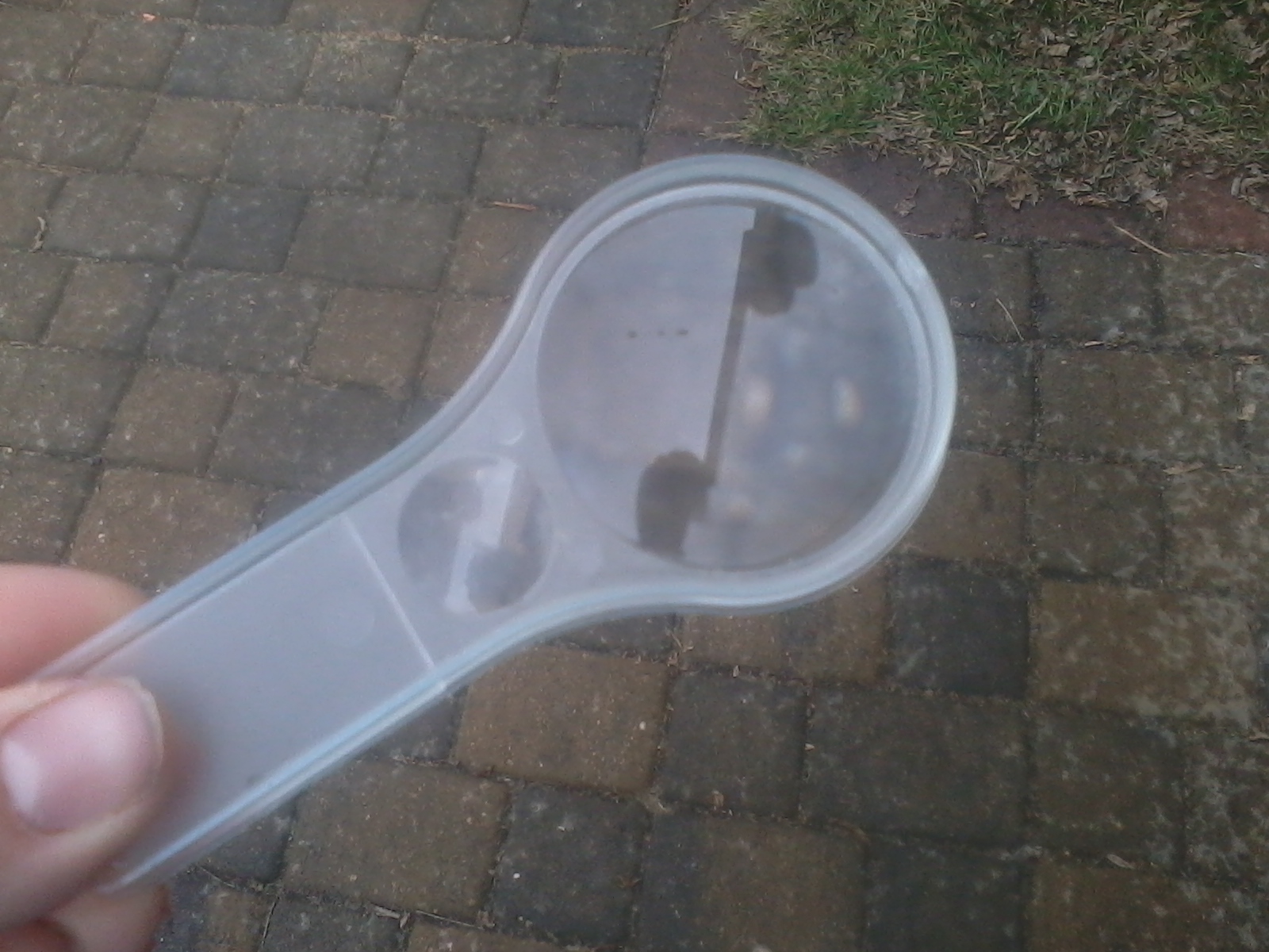 Preschool and More: Creepy Crawlies