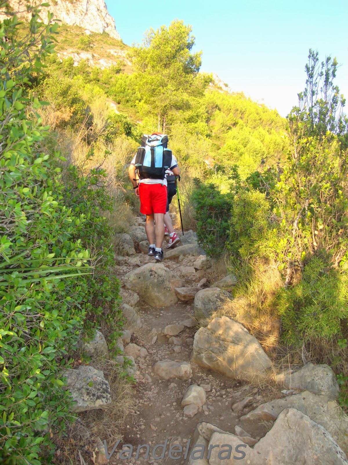 Vandelaras Natural: RUTA CIRCULAR SUBIDA AL MONTGÓ (DÈNIA)