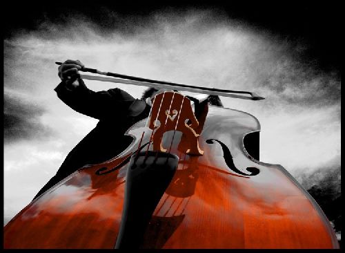 Hd Keman Resimleri 2013 ~ Resimler Diyarına Hoşgeldiniz