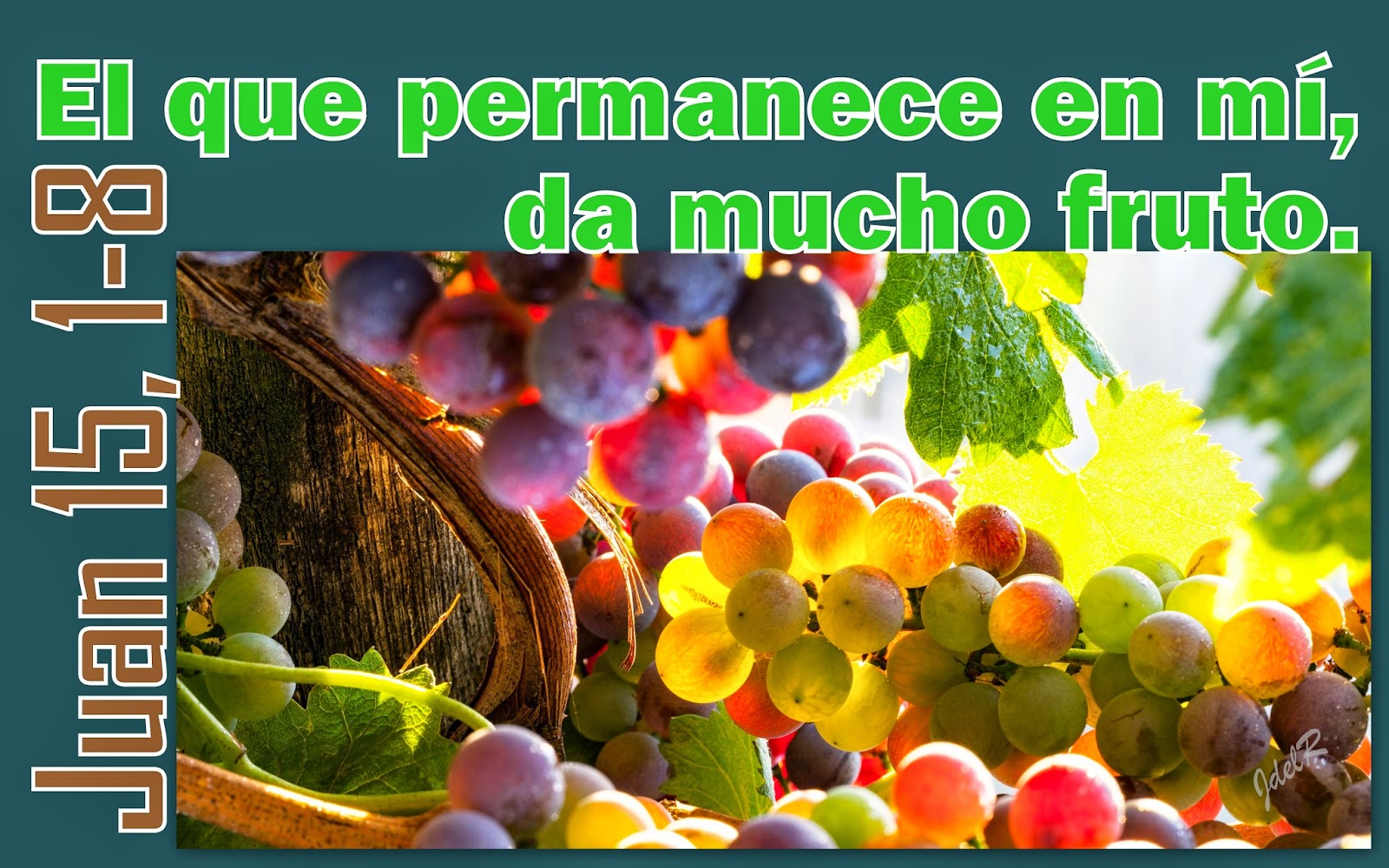 Estoy en Religión...: Evangelio del Domingo 3 de Mayo de 2015, según ...