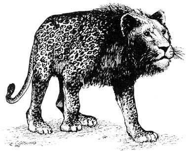 Documentales, vídeos y relatos sobre criptidos: Felinos Desconocidos de ...