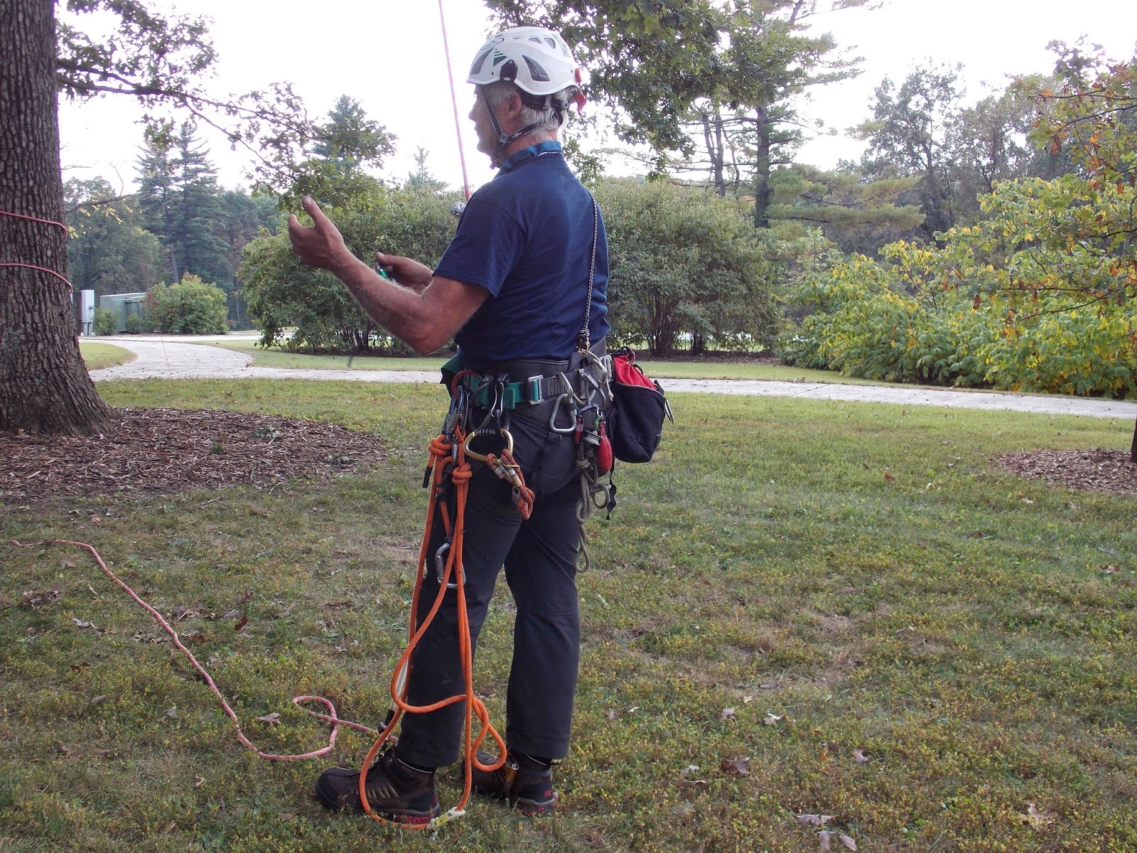 The Schramm Journey: Tree Climbing for Fun