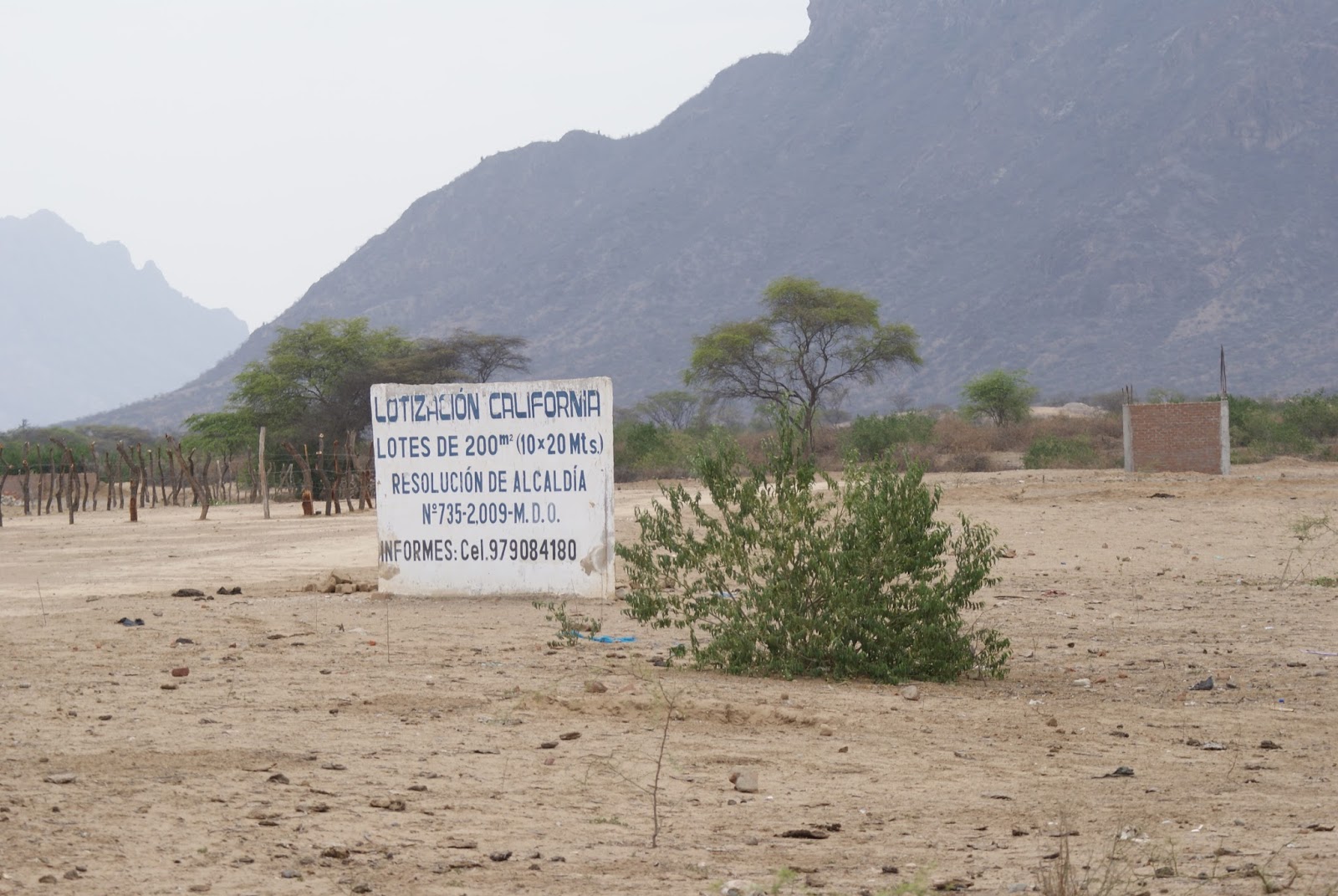 RED LIBRE: IMÁGENES,PLANOS,MAPAS,PAISAJES: FLORA Y ALGO DE FAUNA DE ...