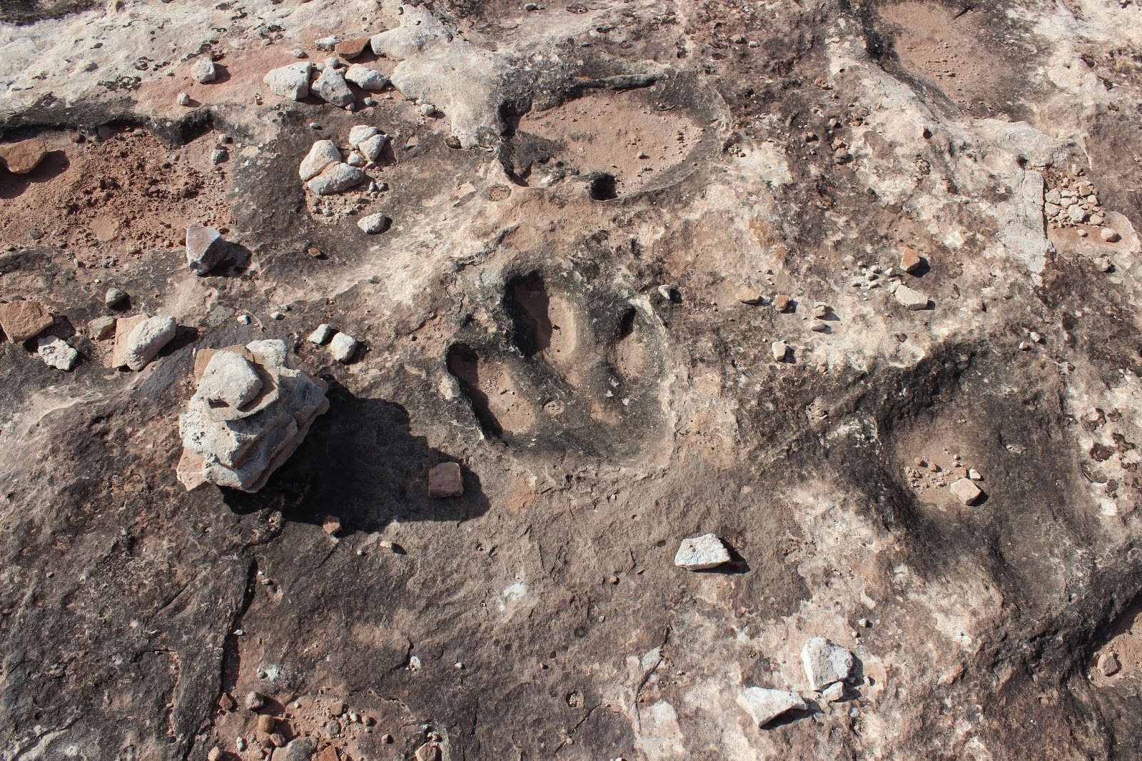 gjhikes.com: Dinosaur Stomping Ground