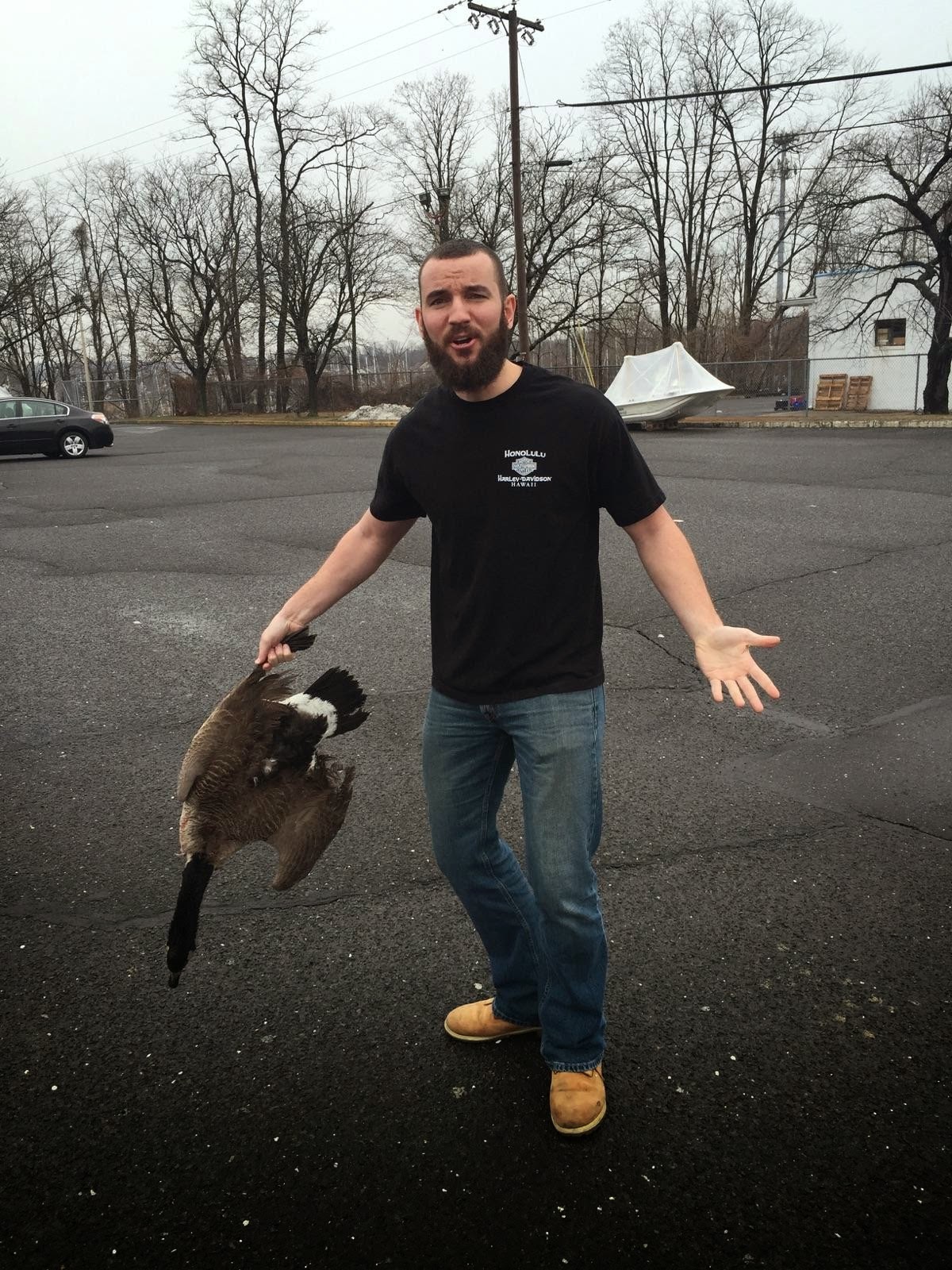 Dataserv Support: Your Goose is Cooked