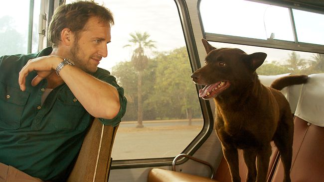 The Film Emporium: New Release Review: Red Dog (Kriv Stenders, 2011)