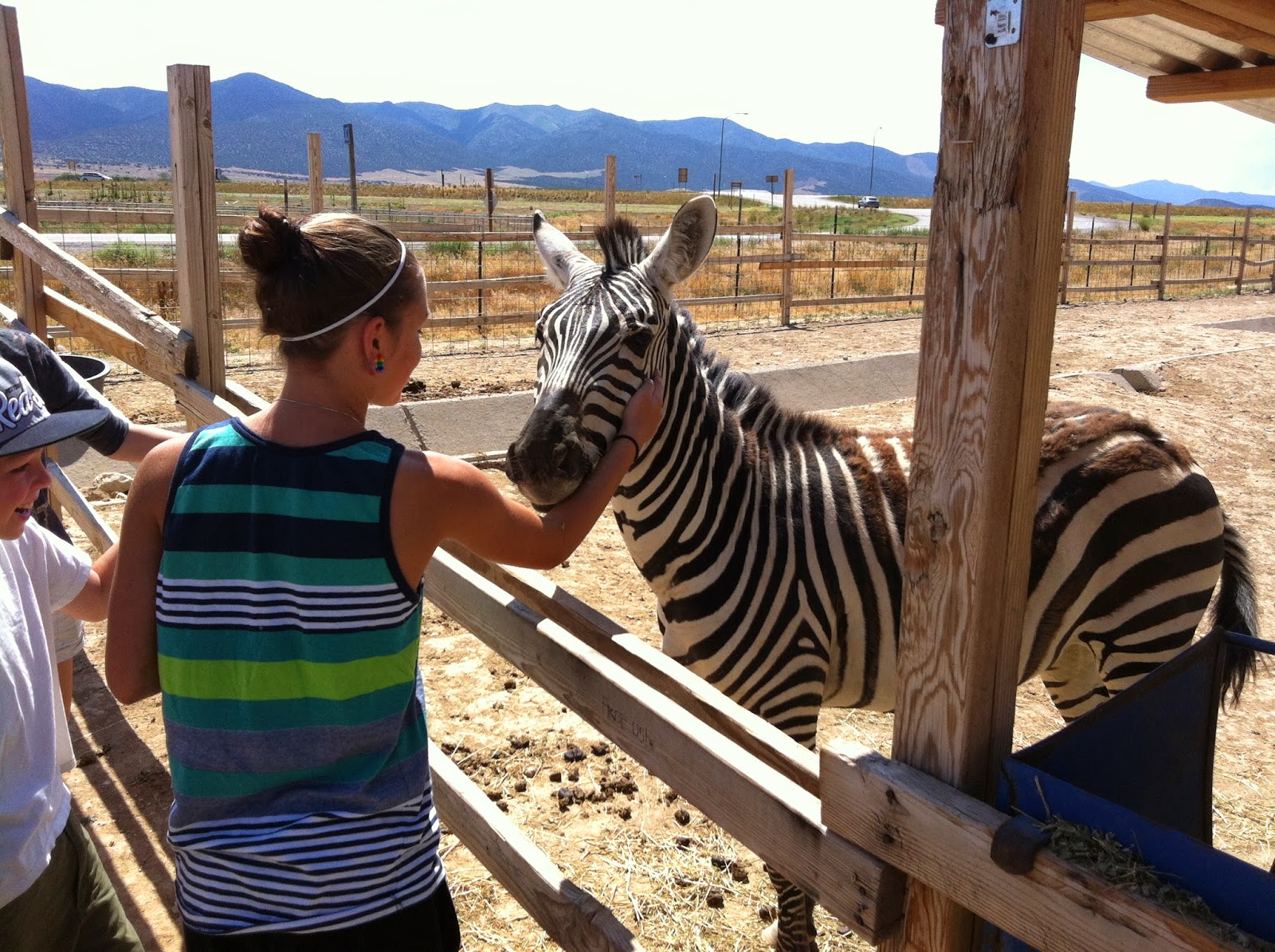 Things To Do, Utah: Have You Ever Wanted to Pet a Zebra?