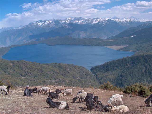 RARA LAKE(TAAL) ~ Nepal Beauty