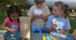 Youth Development Insight