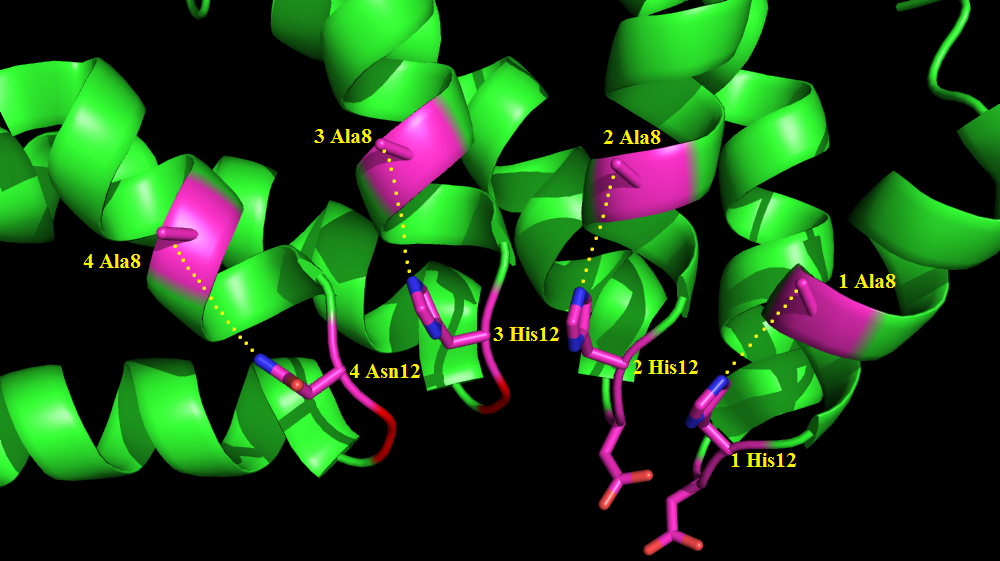 The Structure of TAL Effectors and how it Recognises Specific DNA ...