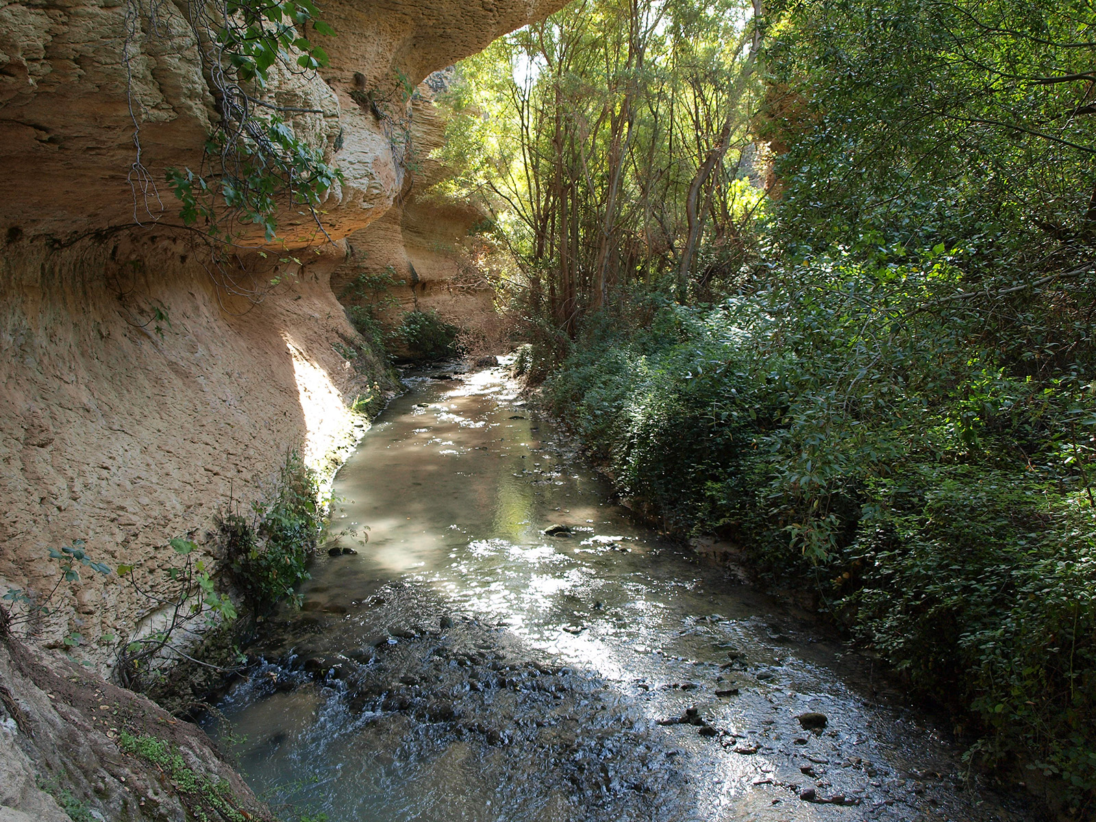 Caminando por Sierras y Calles de Andalucía: Cañón del río Cacín: II ...