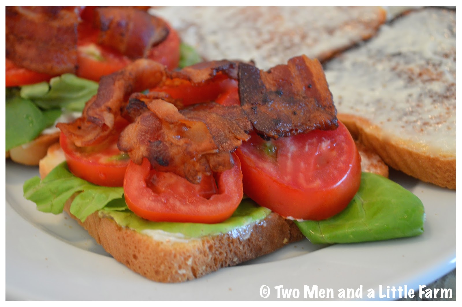 Two Men and a Little Farm: BLT SANDWICHES WITH GARDEN FRESH TOMATOES