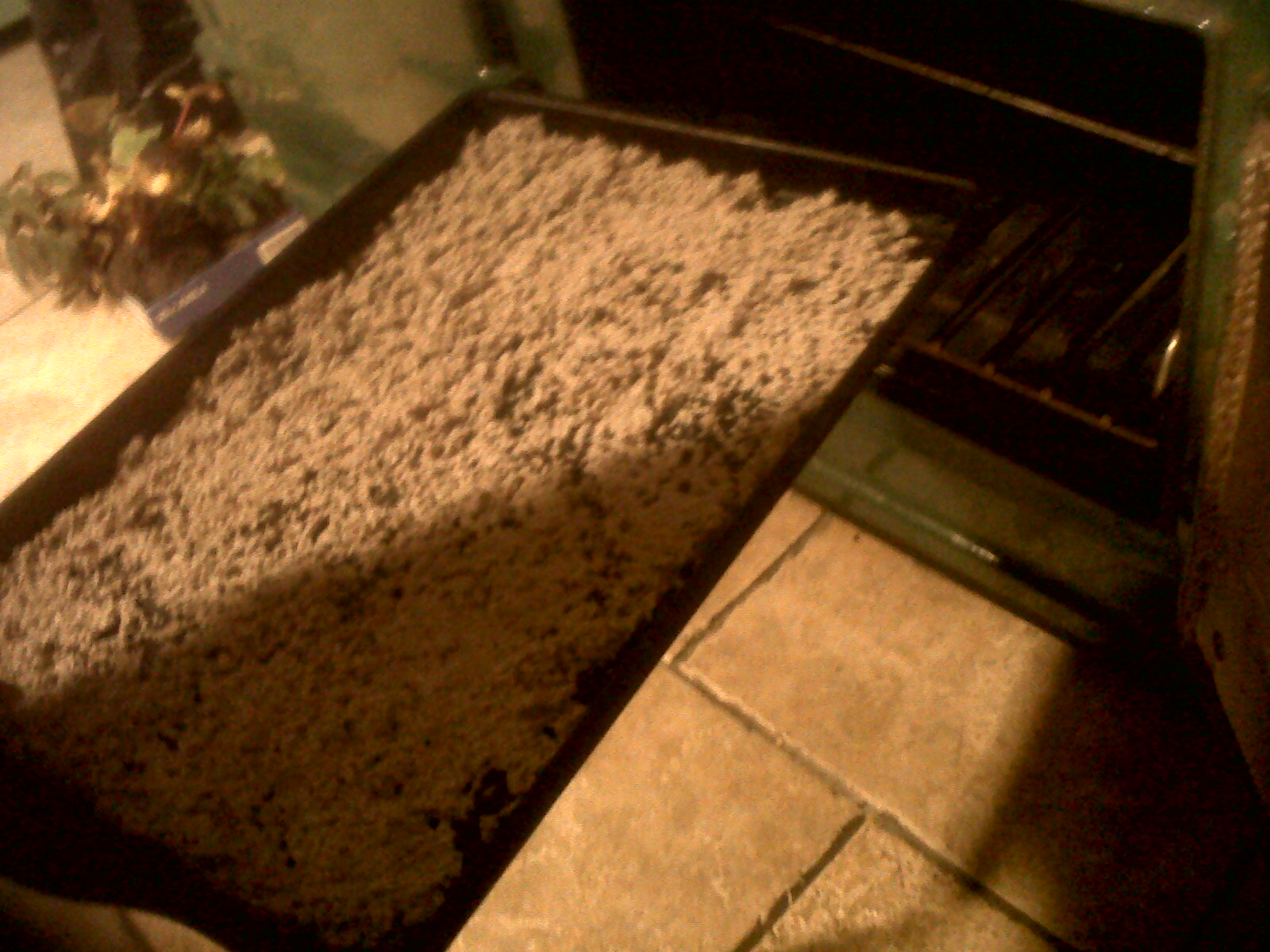 French Model Railway: Washing Ballast