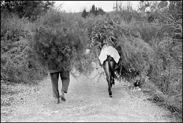 OLTRE IL MURO: ARTE e FOTOGRAFIA: PATRICK ZACHMANN | PHOTOGRAPHER