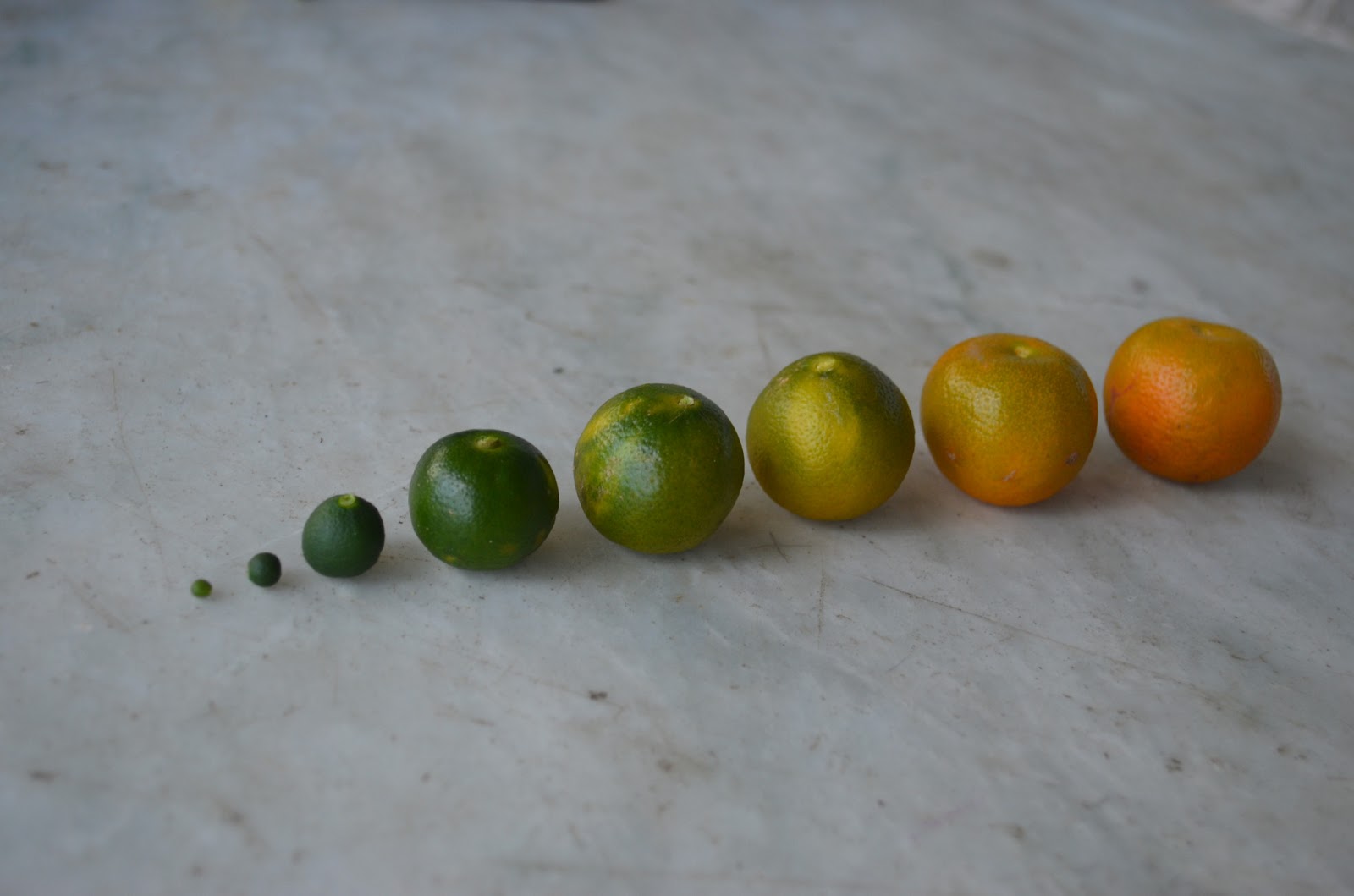 Philippine Culture and Surprises: May 2013