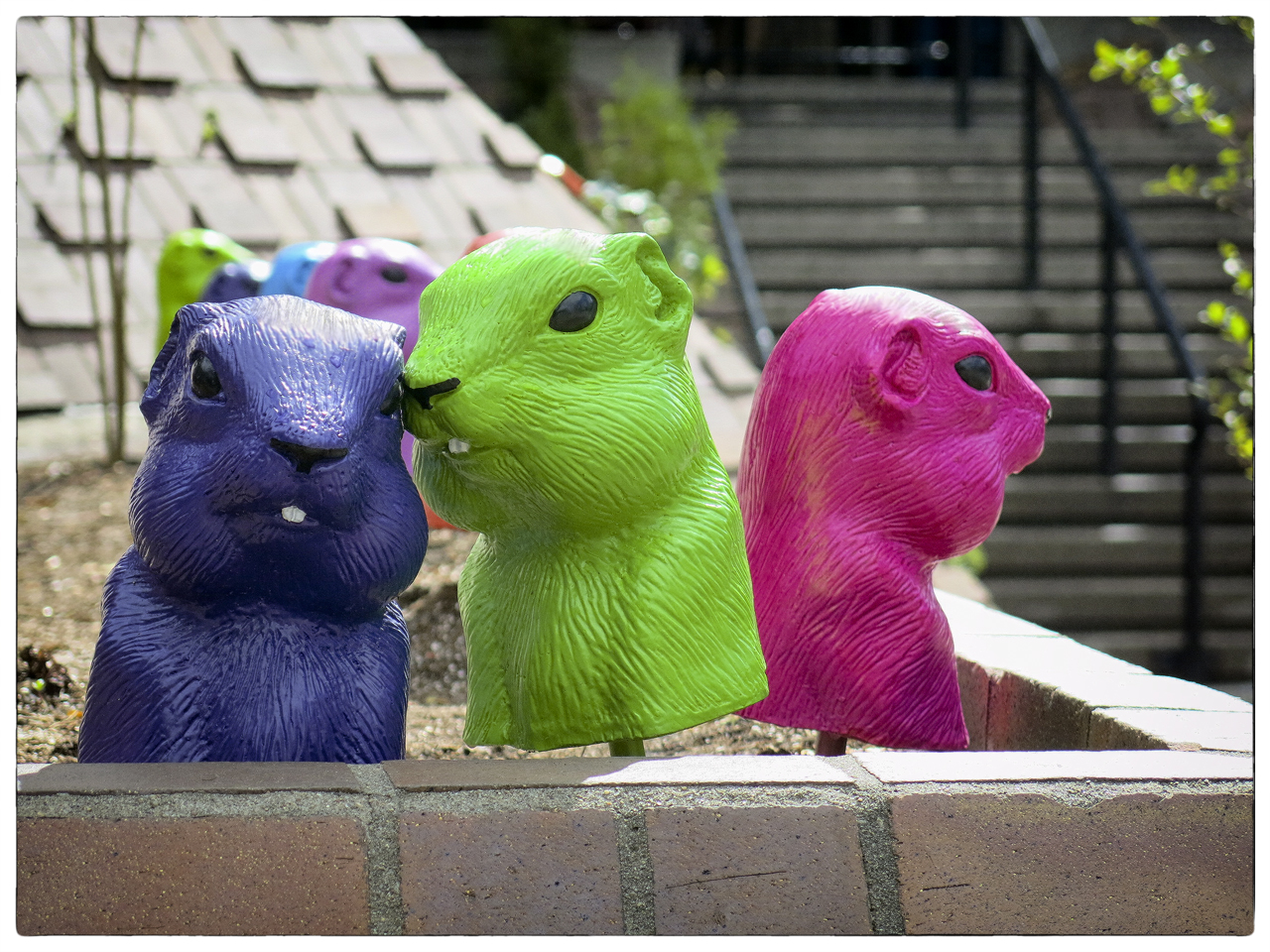 Wanderfull's Wanderings: Photography Rules: Rule of Odds